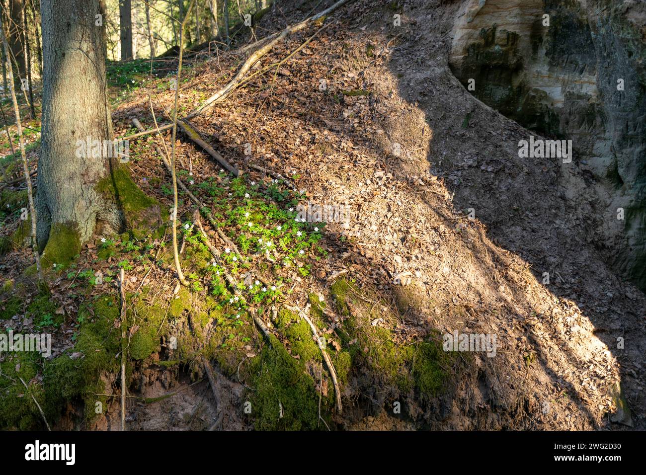 Devils cave hi-res stock photography and images - Alamy