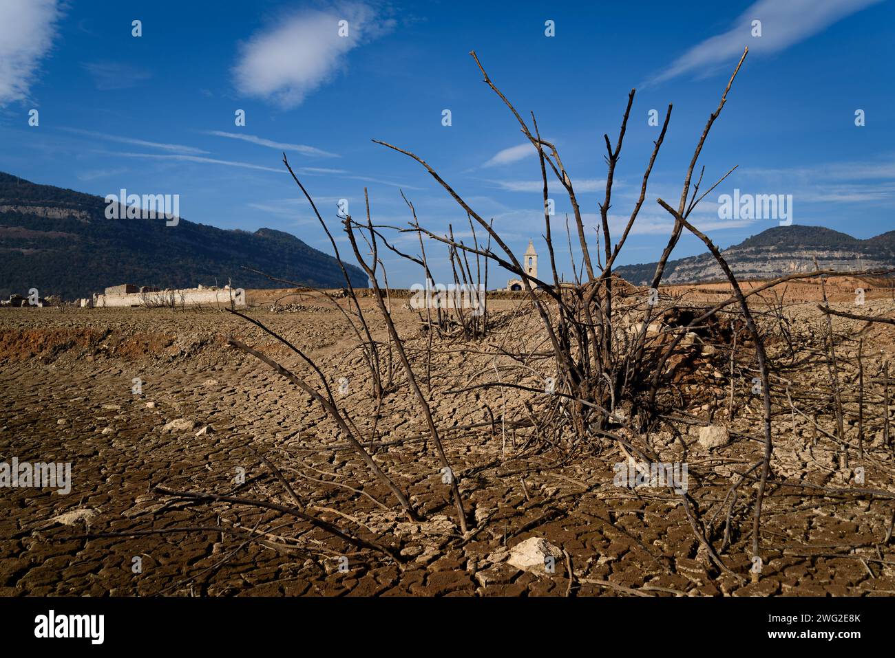 Vilanova de Sau, Spain - 2 February 2024: Dead trees are seen at the ...