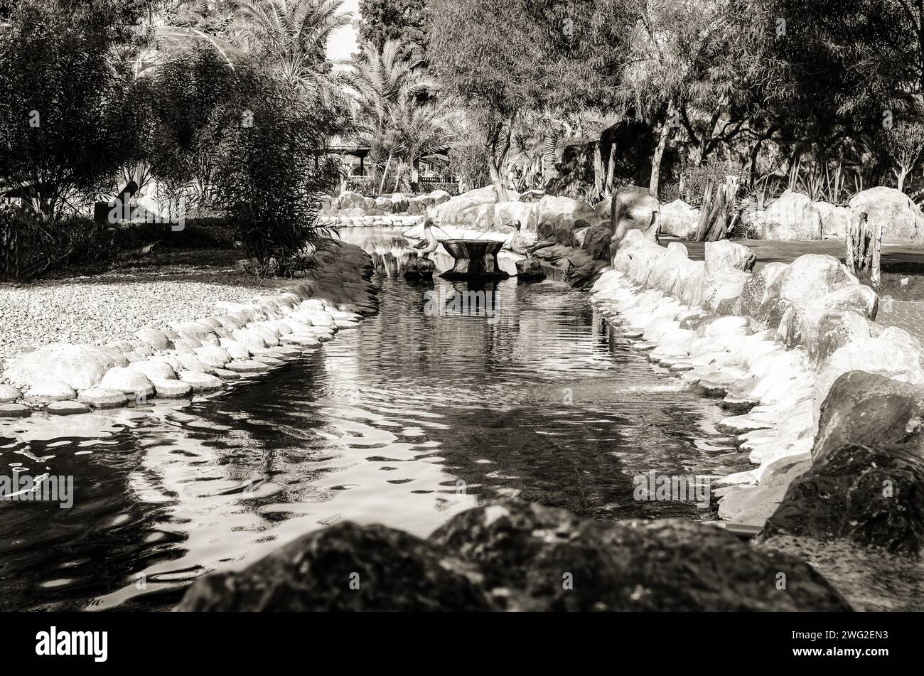 Natural view at Al Areen park, Bahrain Stock Photo - Alamy