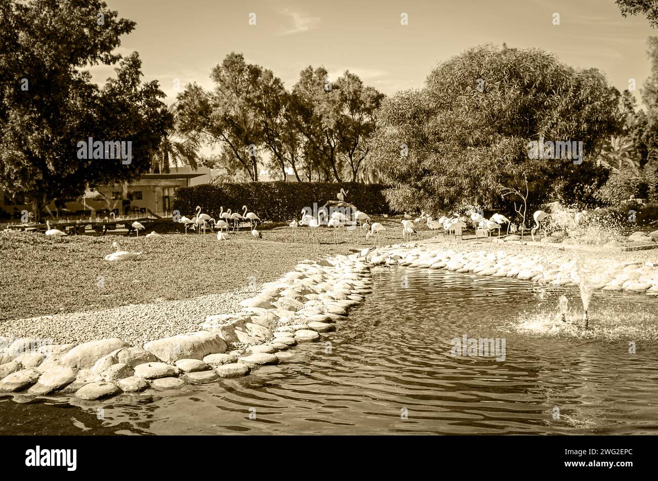 Natural view at Al Areen park, Bahrain Stock Photo - Alamy