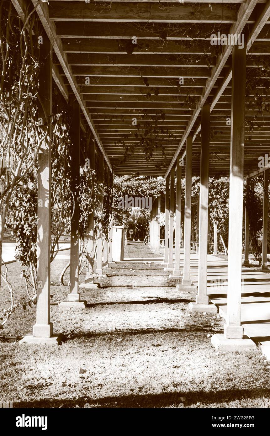 Pattern photography at Al Areen Wild Park, Bahrain Stock Photo - Alamy