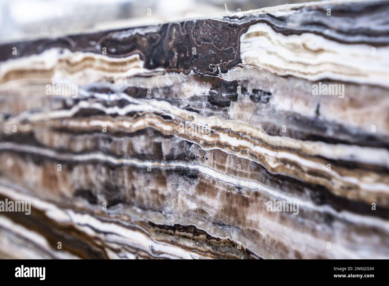Collection of Different Types of Marble Natural Stone Textures and ...