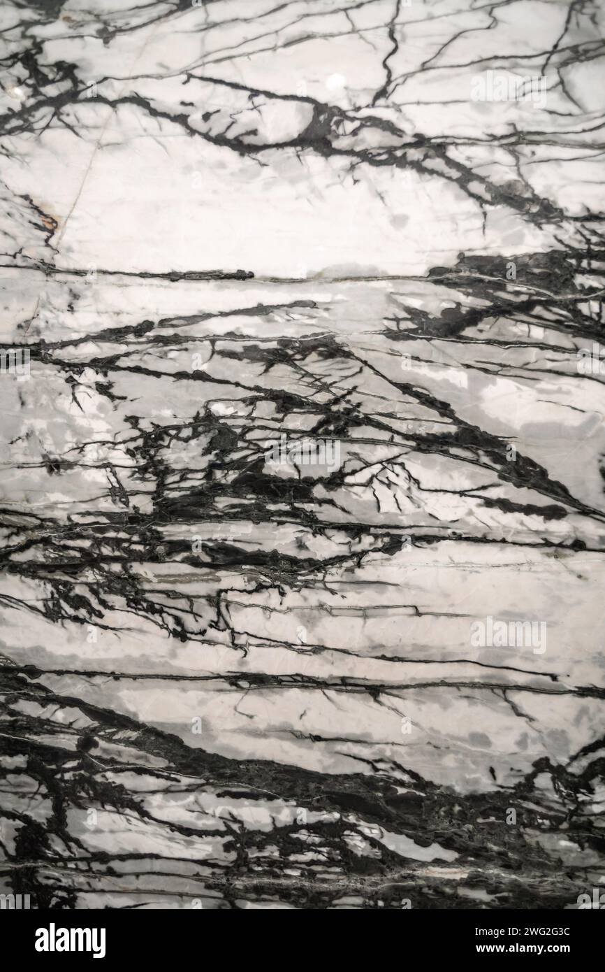 Collection of Different Types of Marble Natural Stone Textures and ...