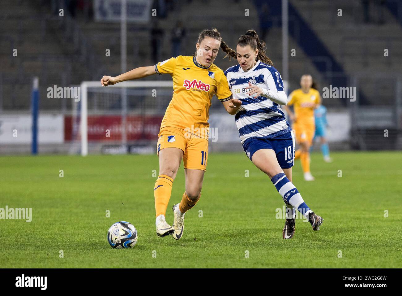 Duisburg, Deutschland. 02nd Feb, 2024. Zweikampf Mara Alber (TSG Hoffenheim, #11), Jelena ...