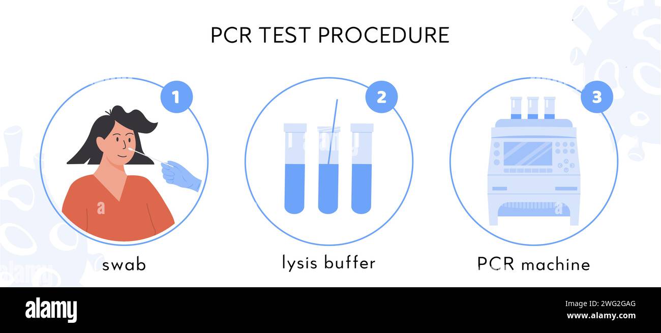 Covid-19 test procedure Infographic. A doctor or nurse in latex gloves ...