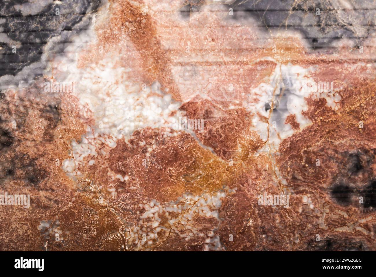 Collection of Different Types of Marble Natural Stone Textures and ...