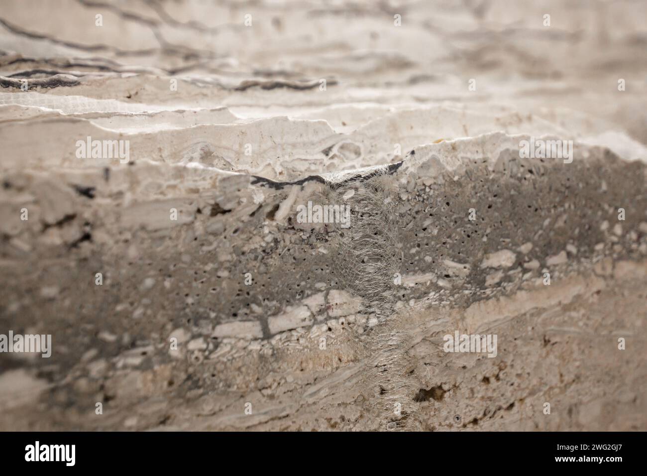 Collection of Different Types of Marble Natural Stone Textures and ...