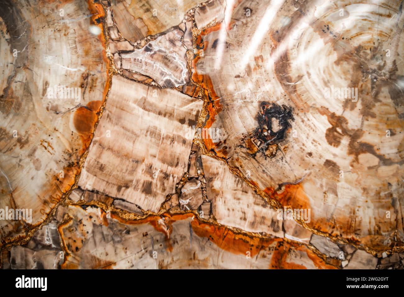 Collection of Different Types of Marble Natural Stone Textures and ...
