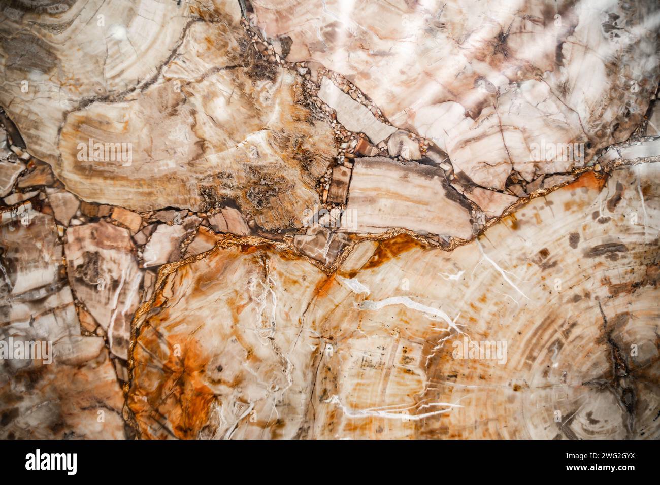 Collection of Different Types of Marble Natural Stone Textures and ...