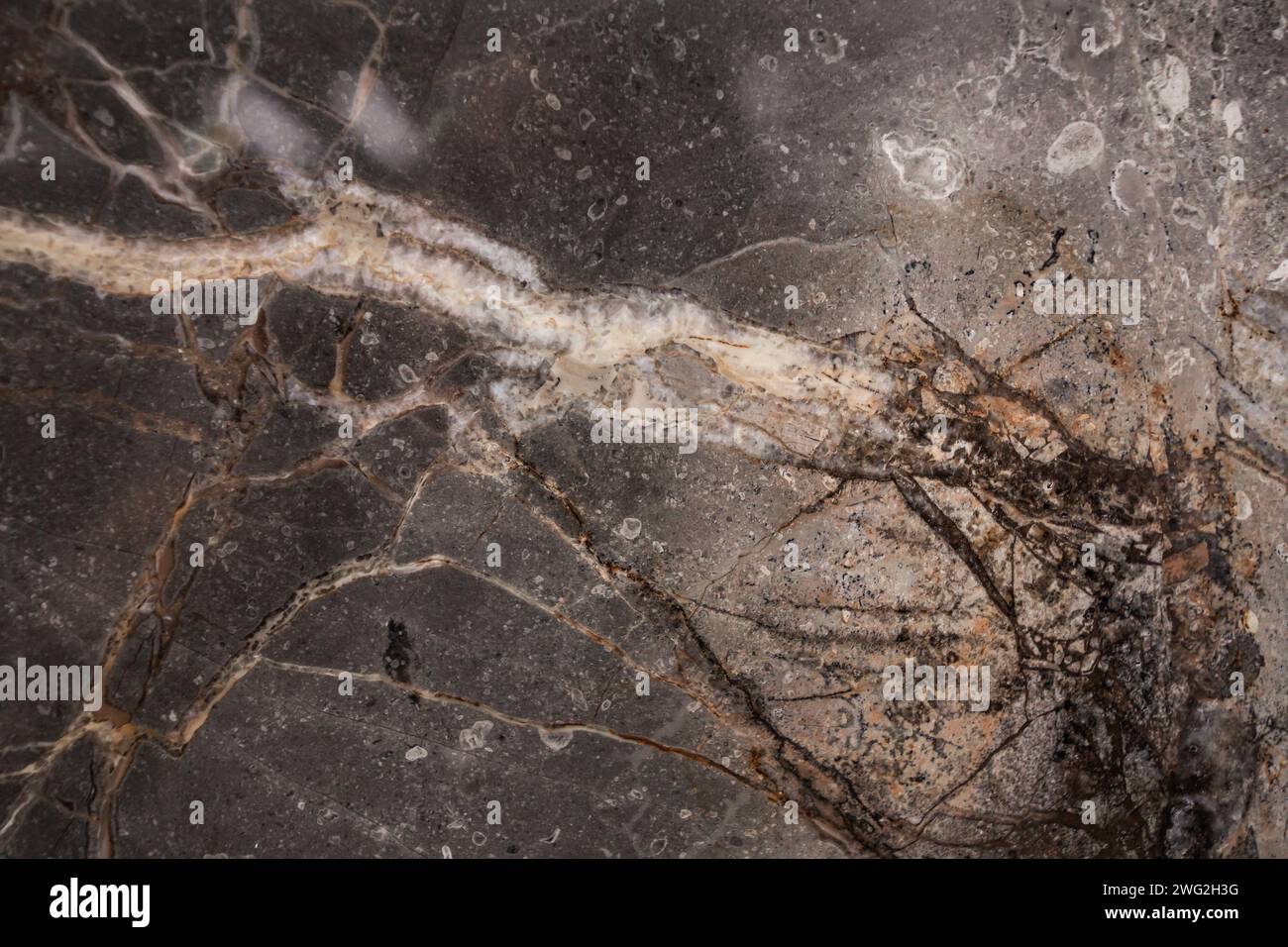 Collection of Different Types of Marble Natural Stone Textures and ...