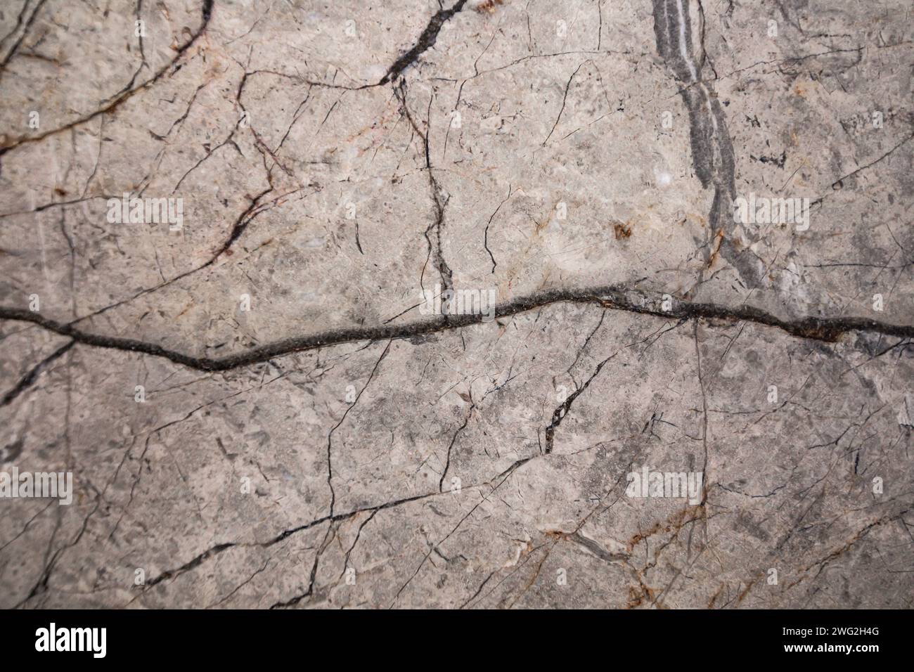 Collection of Different Types of Marble Natural Stone Textures and ...