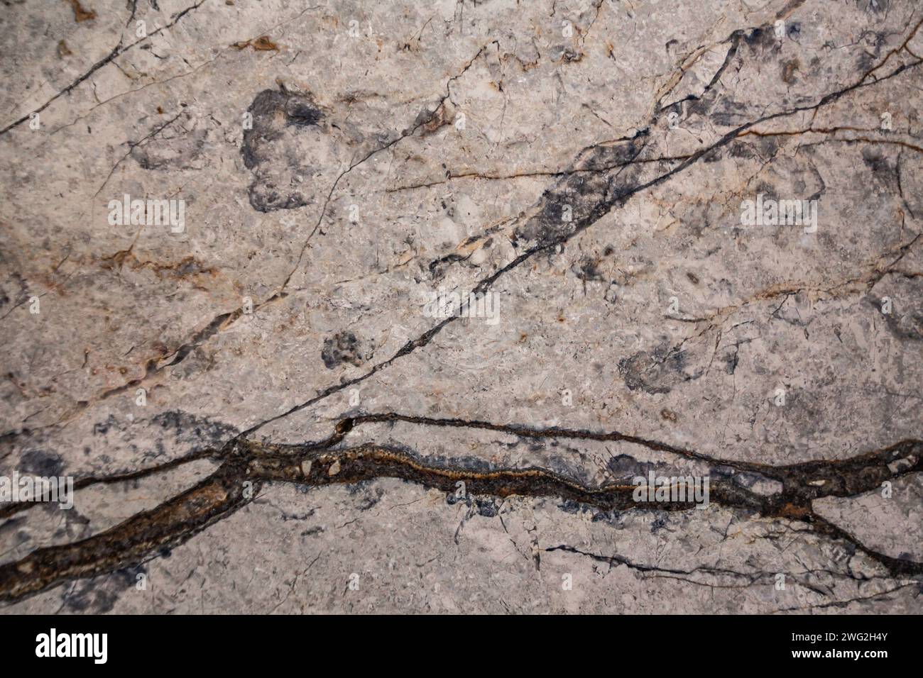 Collection of Different Types of Marble Natural Stone Textures and ...