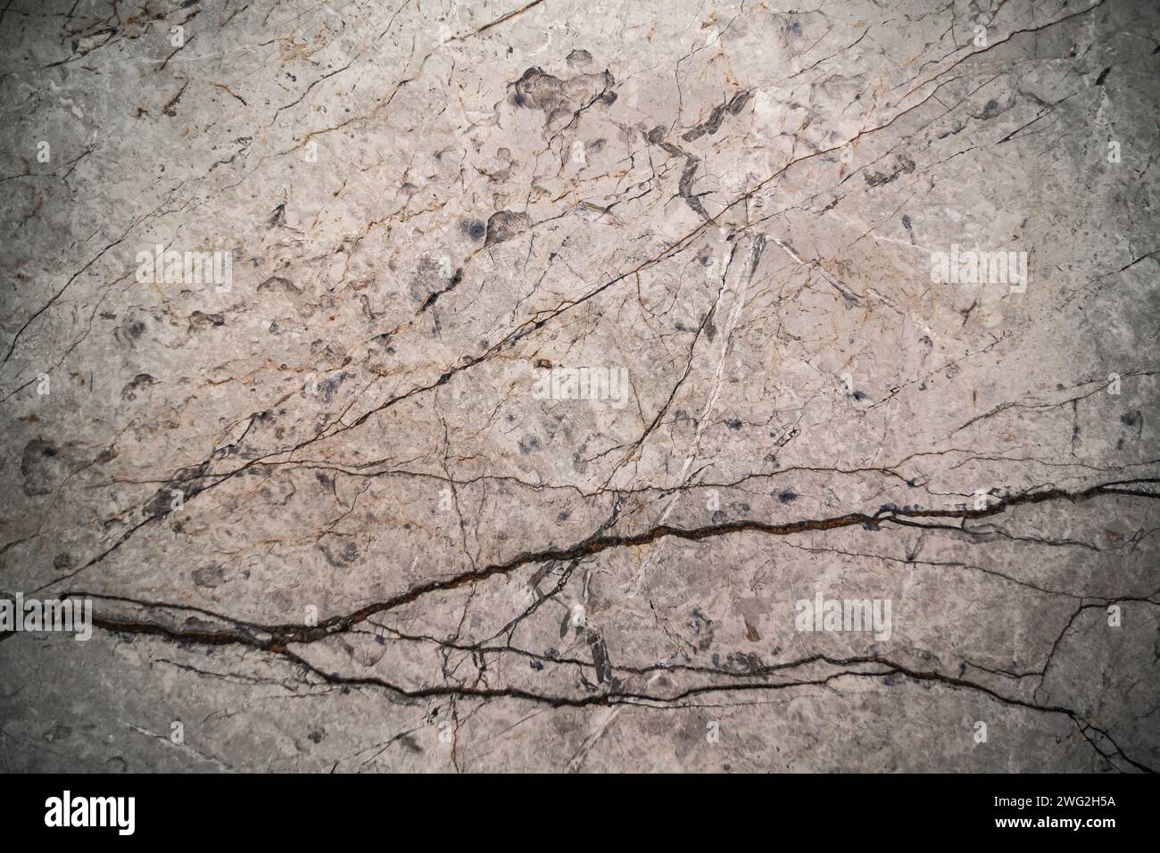 Collection of Different Types of Marble Natural Stone Textures and ...