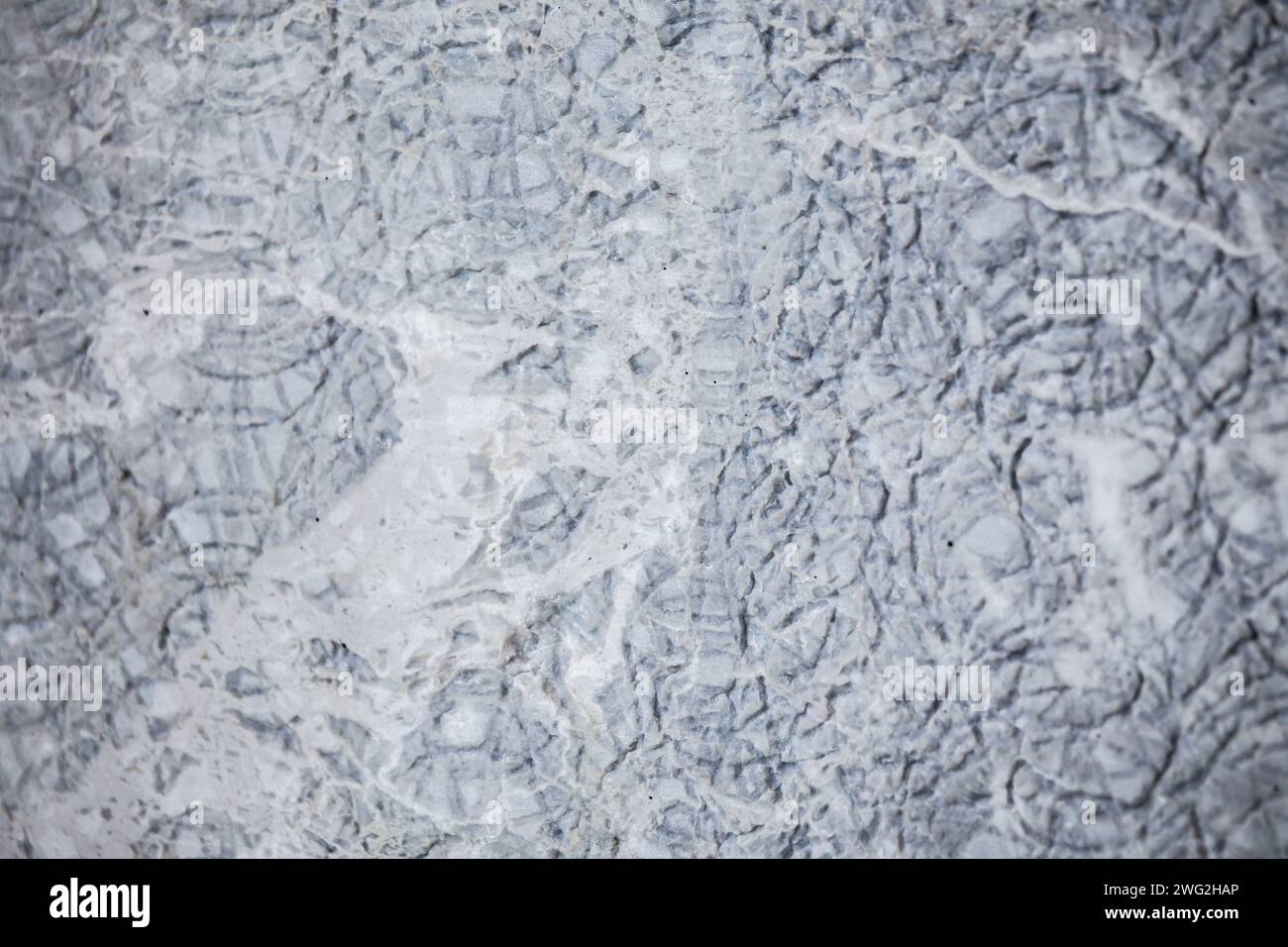 Collection of Different Types of Marble Natural Stone Textures and ...