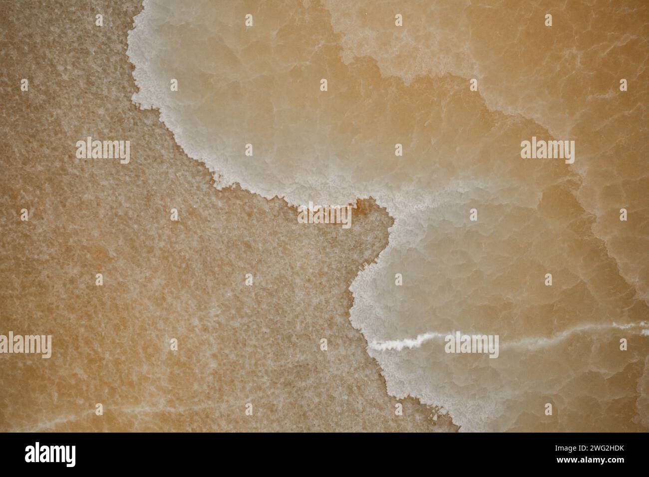 Collection of Different Types of Marble Natural Stone Textures and ...