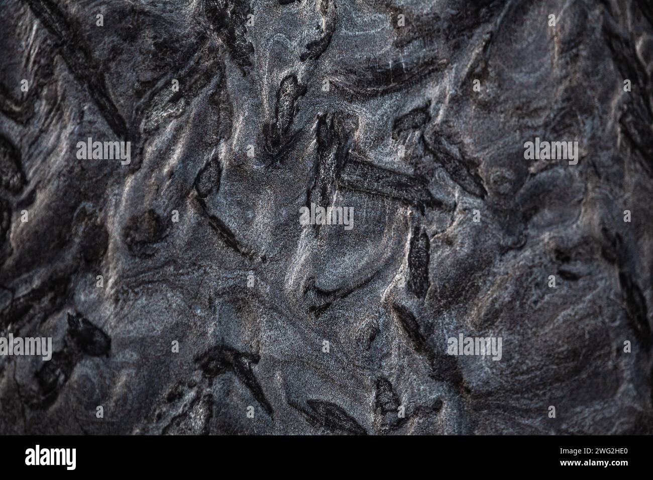 Collection of Different Types of Marble Natural Stone Textures and ...