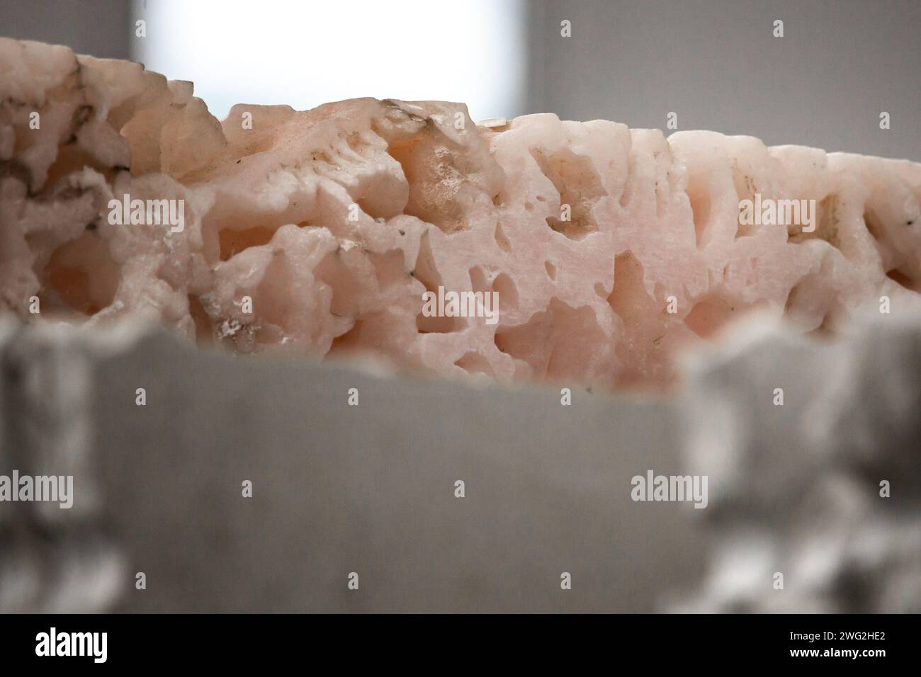 Collection of Different Types of Marble Natural Stone Textures and ...