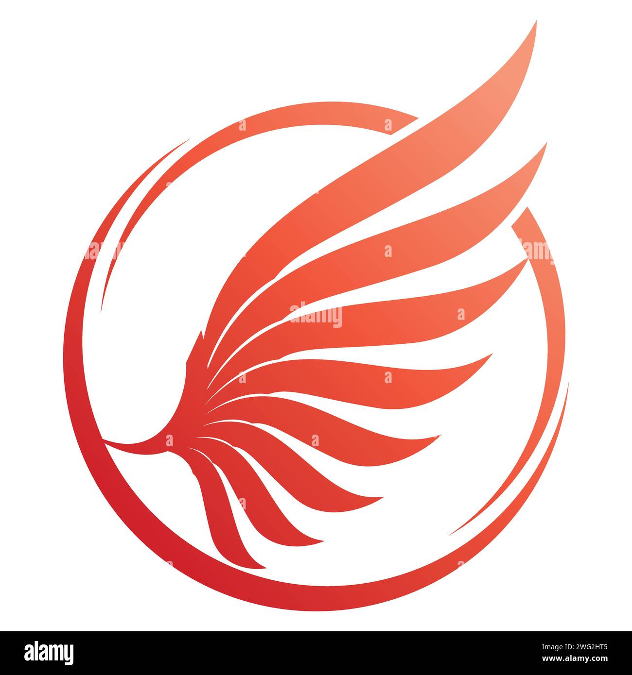 Bird wings vector logo concept illustration Stock Vector Image & Art ...