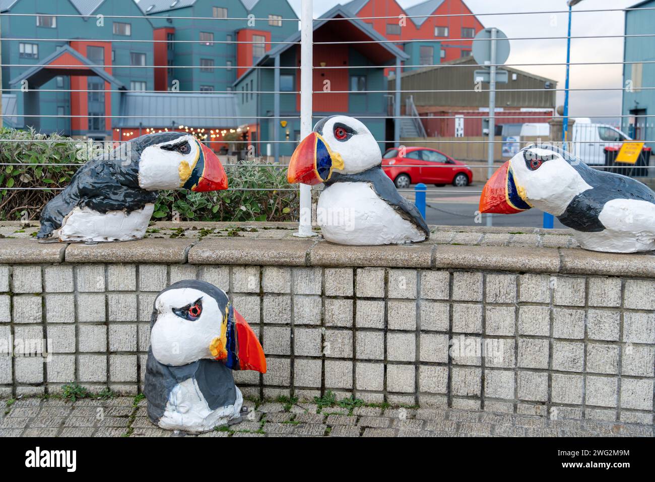 Puffins depicted in the Bird Heads sculptures by Andrew Burton, part of ...