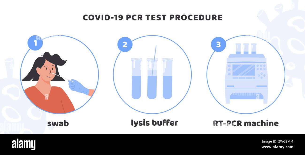 Covid-19 test procedure Infographic. A doctor or nurse in latex gloves ...