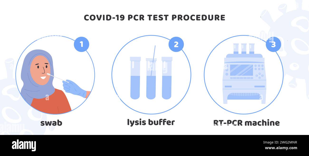 Covid-19 test procedure Infographic. A nurse in latex gloves takes ...