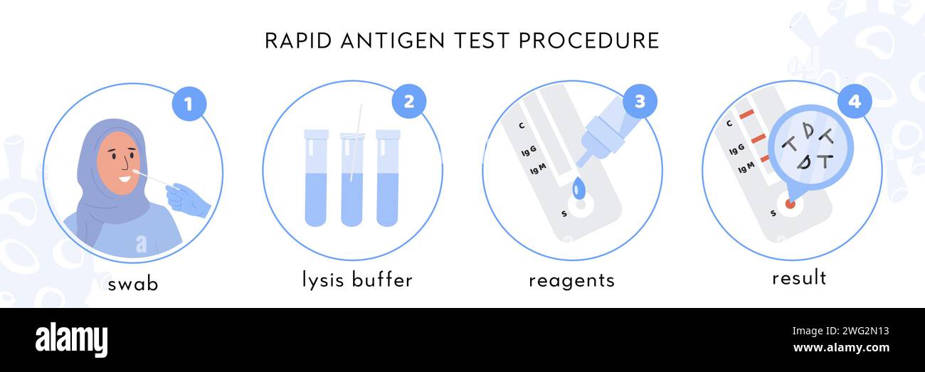 Covid-19 Rapid Antigen test procedure Infographic. A doctor takes nasal ...