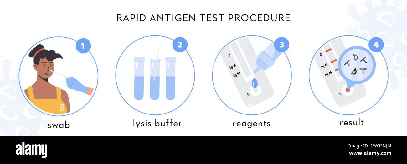 Covid-19 Rapid Antigen test procedure Infographic. A doctor takes nasal ...