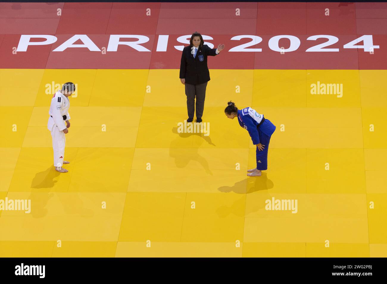 MOKDAR FAIZA (FRA) (PARIS SAINT GERMAIN JUDO 75) won the gold medal ...