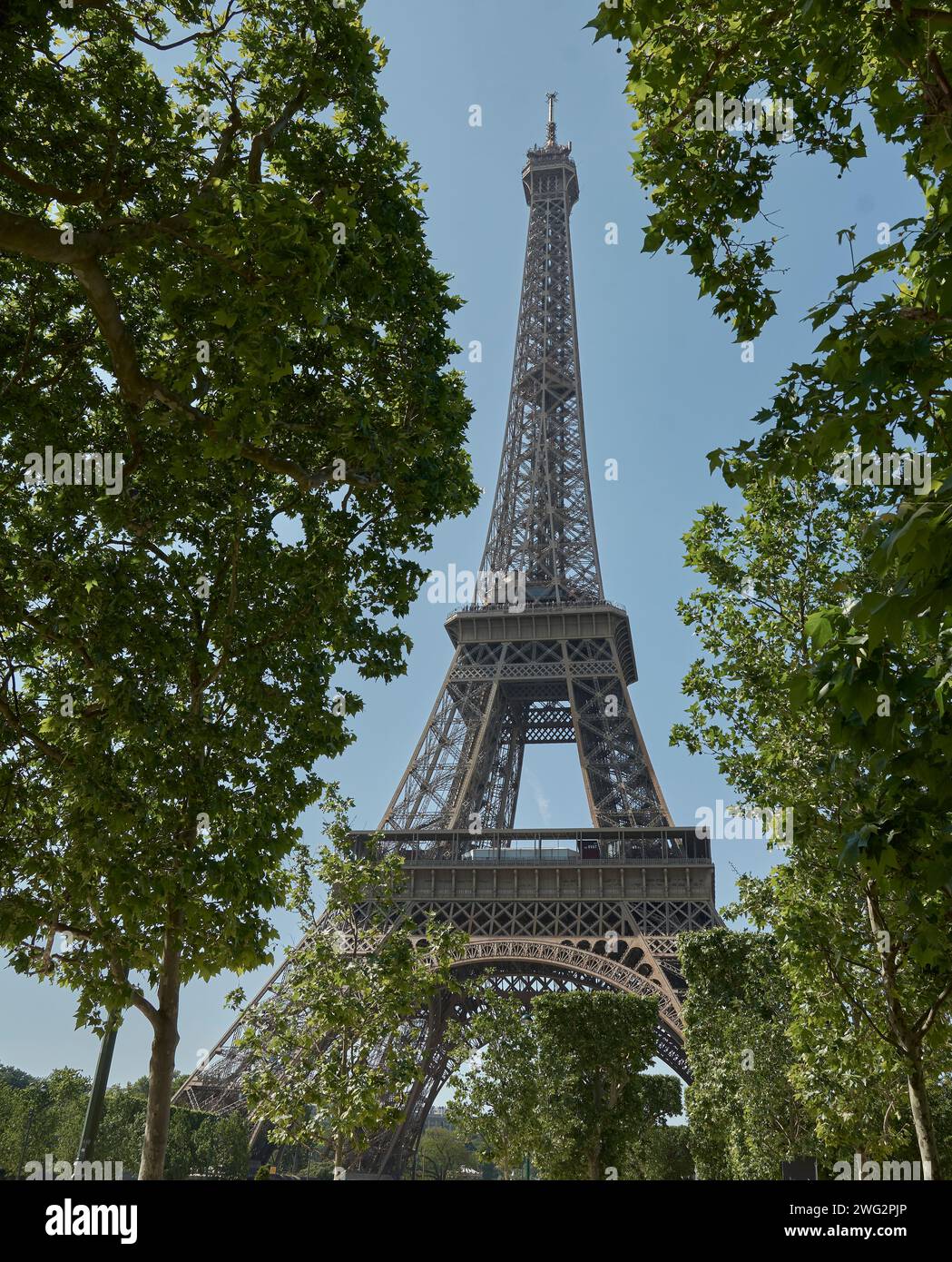 Greenery amidst city hi-res stock photography and images - Alamy