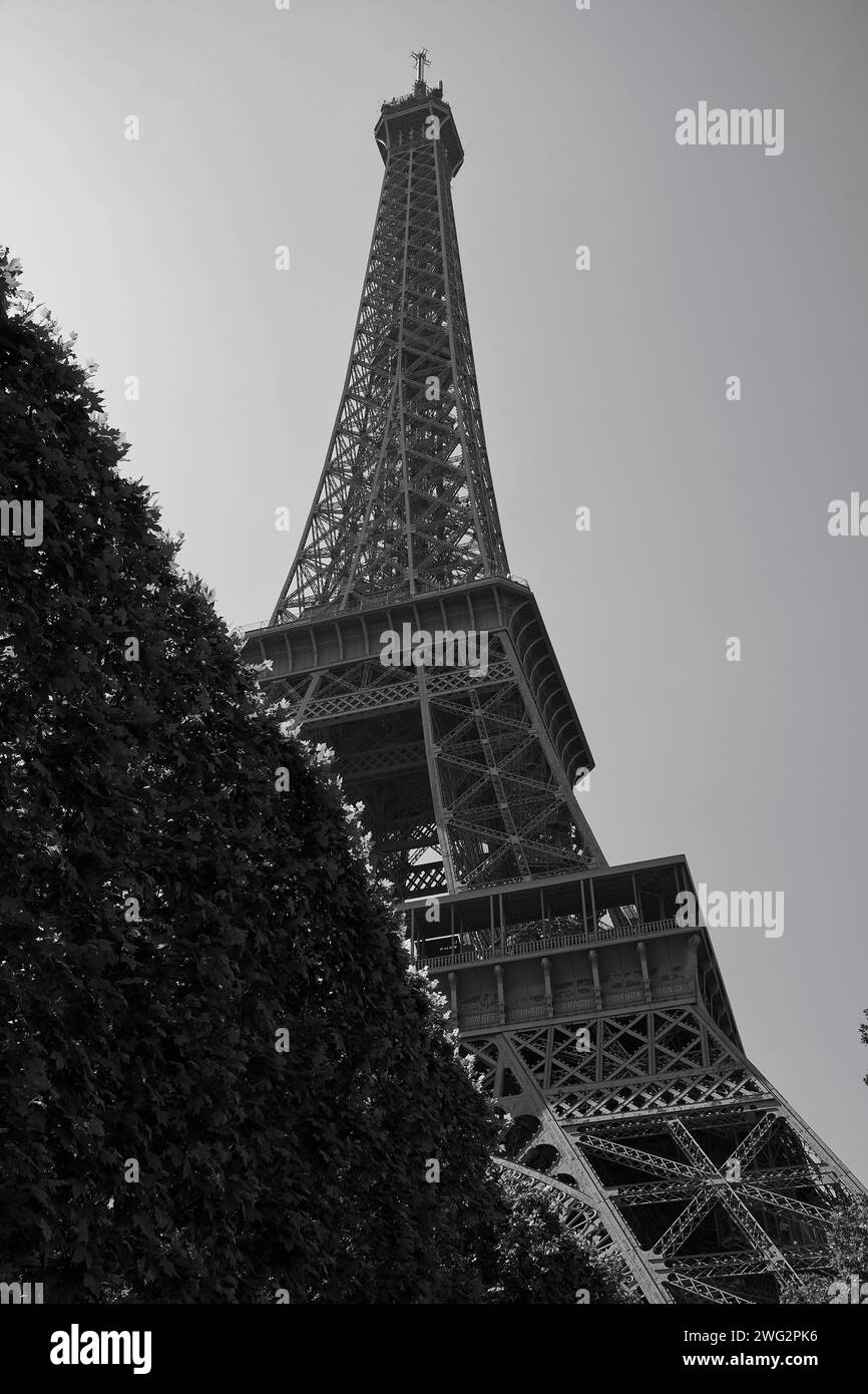 Black and white photograph showcasing the iconic Eiffel Tower Stock ...