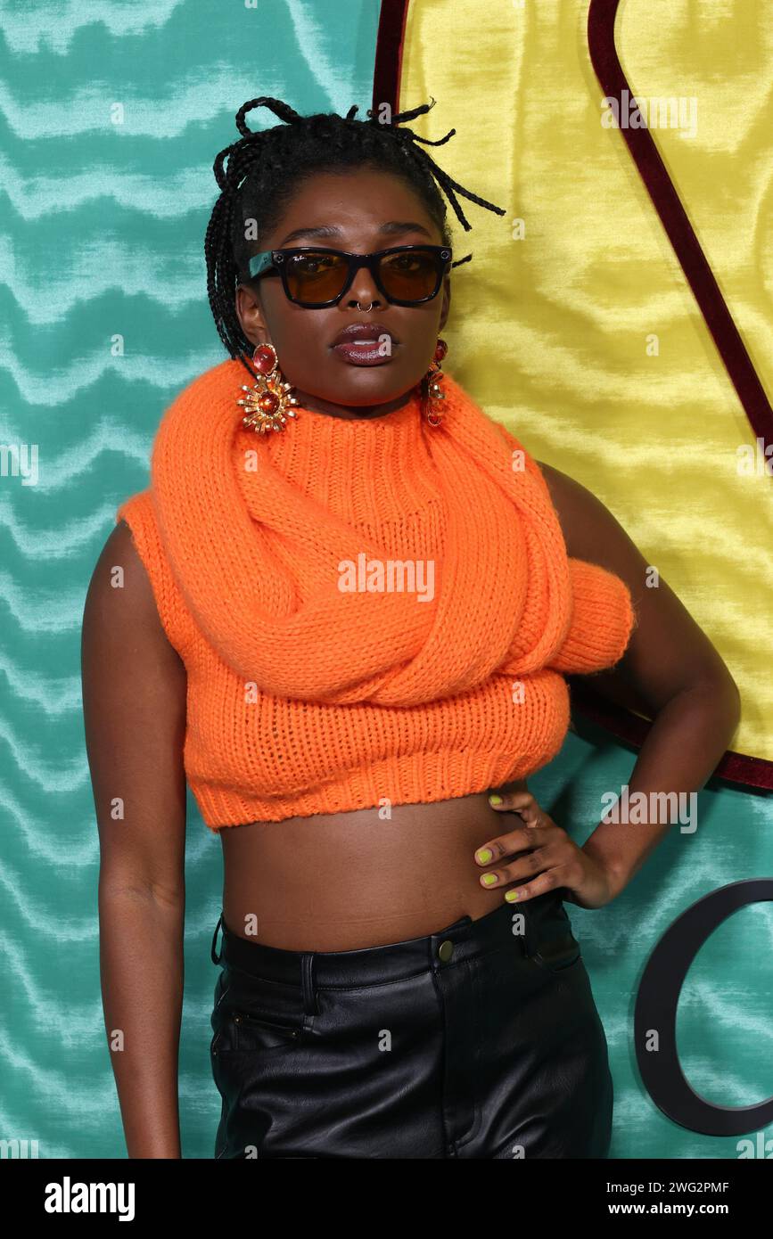 Los Angeles, USA. 01st Feb, 2024. OGI attends the 2024 Warner Music ...