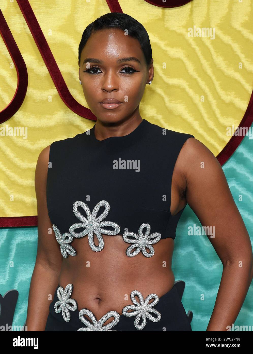 Los Angeles, USA. 01st Feb, 2024. Janelle Monae attends the 2024 Warner ...