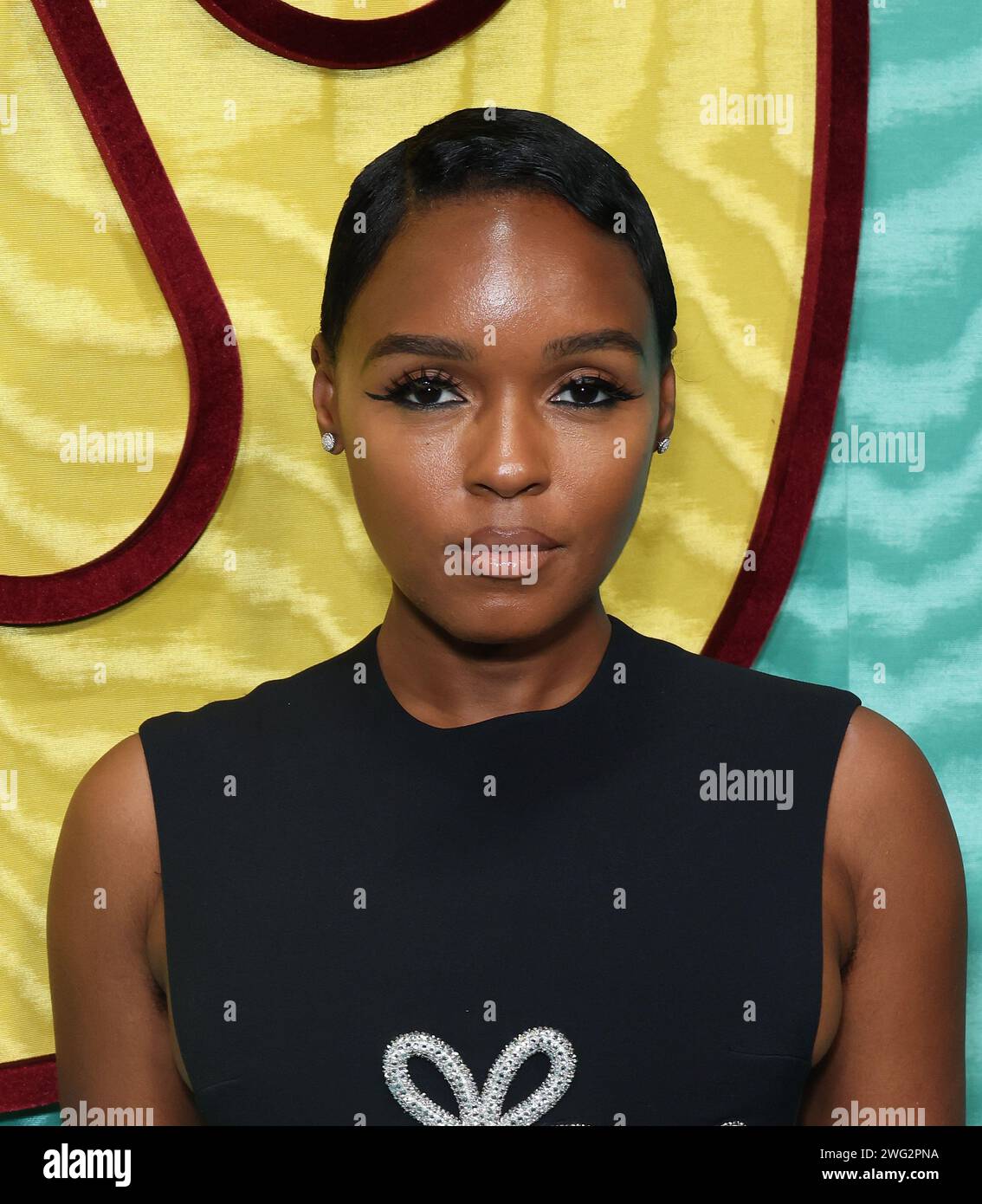 Los Angeles, USA. 01st Feb, 2024. Janelle Monae attends the 2024 Warner ...