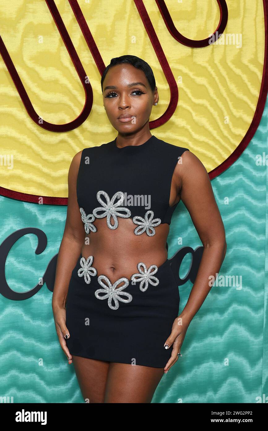 Los Angeles, USA. 01st Feb, 2024. Janelle Monae attends the 2024 Warner ...