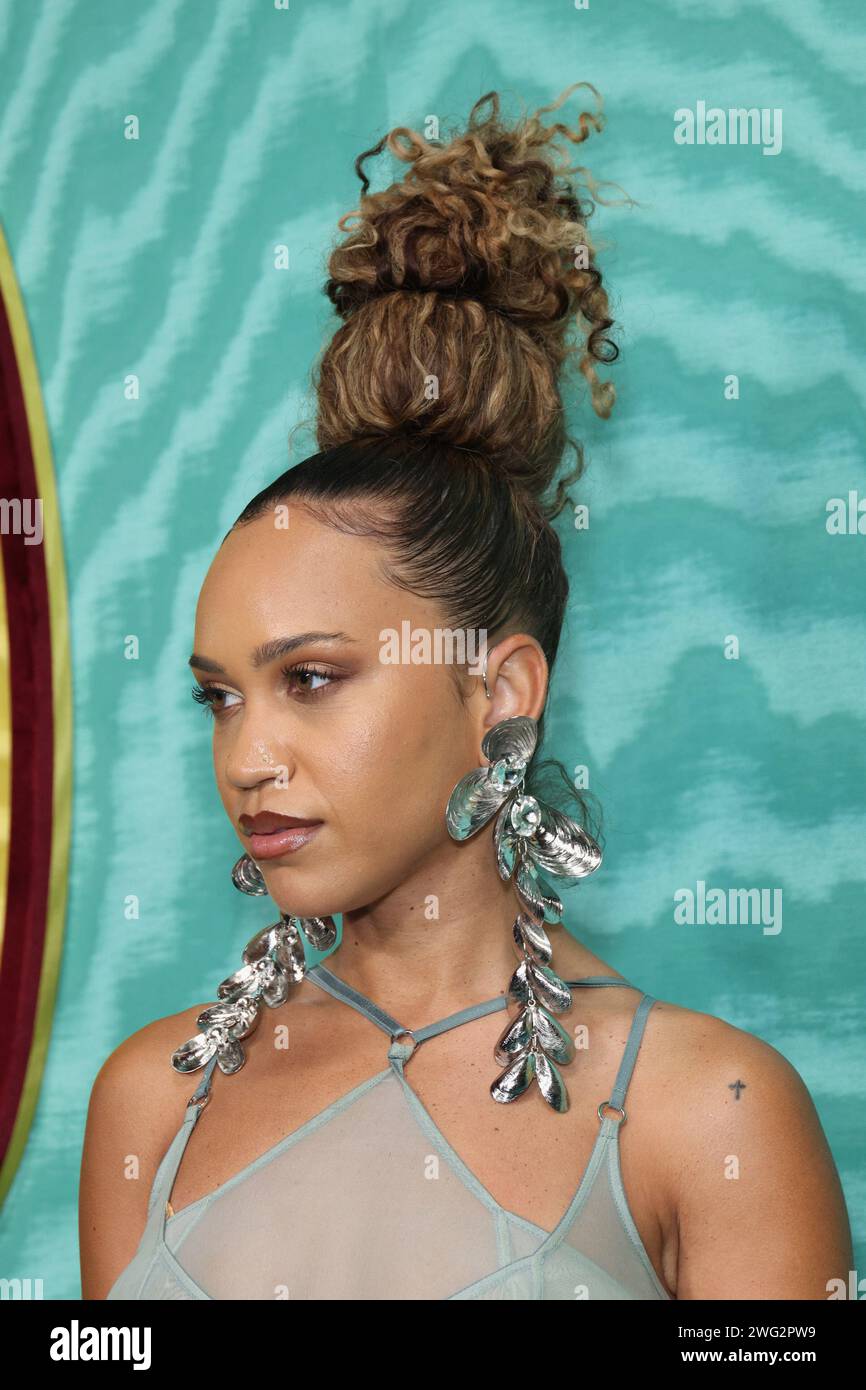 Los Angeles, USA. 01st Feb, 2024. Amanda Reifer attends the 2024 Warner ...