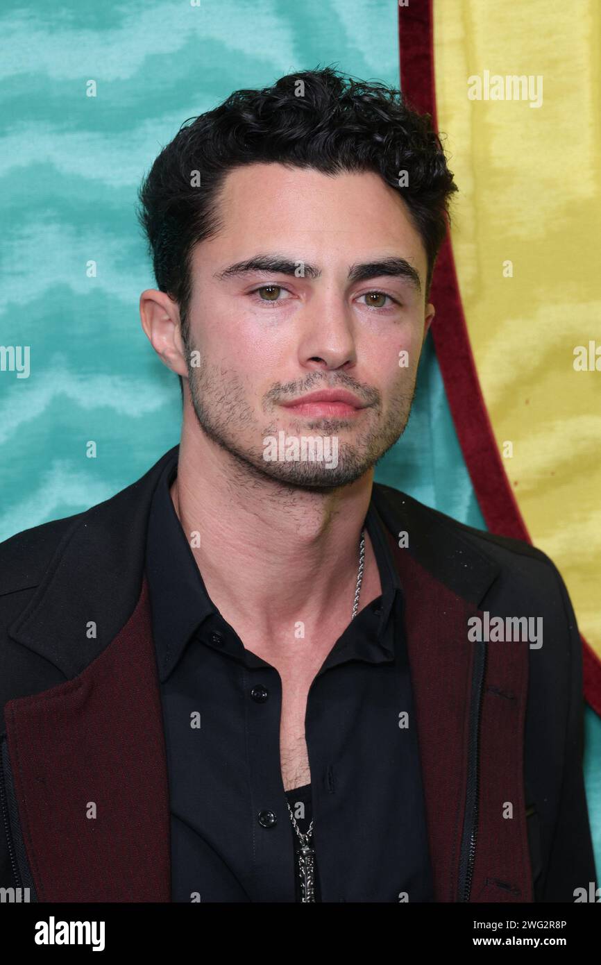 Los Angeles, USA. 01st Feb, 2024. Darren Barnet attends the 2024 Warner ...