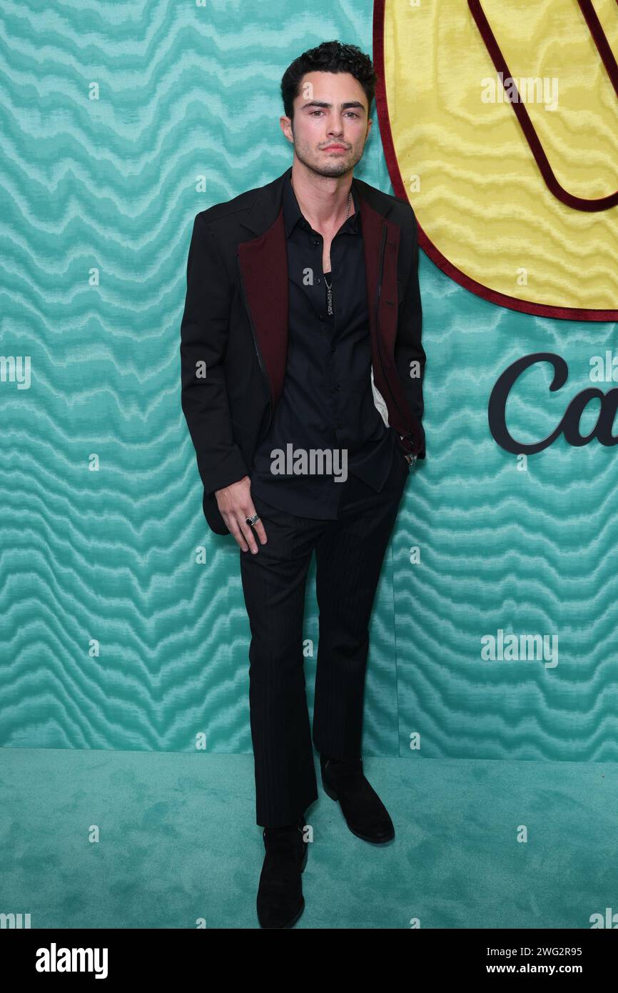 Los Angeles, USA. 01st Feb, 2024. Darren Barnet attends the 2024 Warner ...