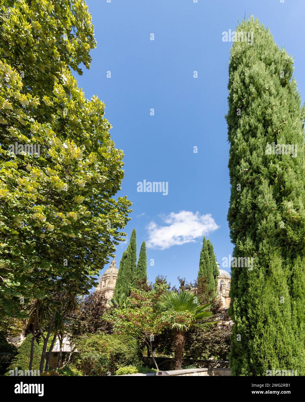 Fotografía panorámica del huerto de Calixto y Melibea con árboles en ...