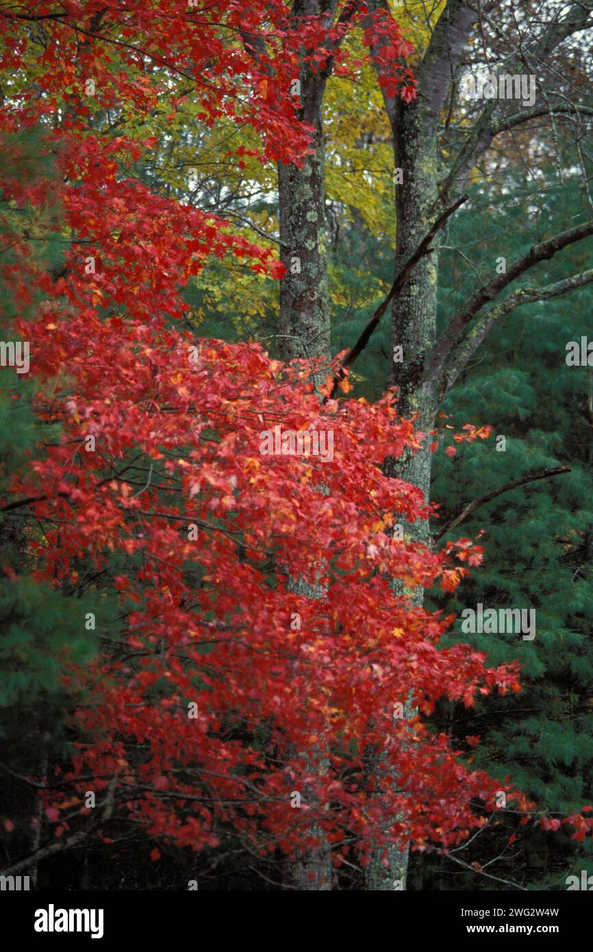 Change from mountain peaks to valley bottoms hi-res stock photography ...