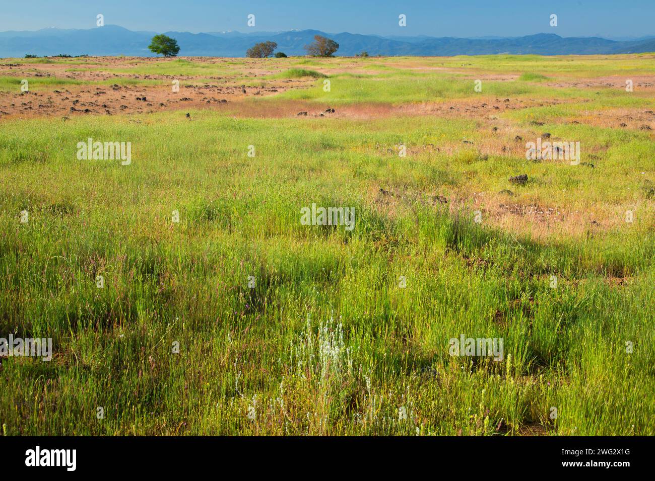 Grassland plateau, Upper Table Rock Preserve, Medford District Bureau ...