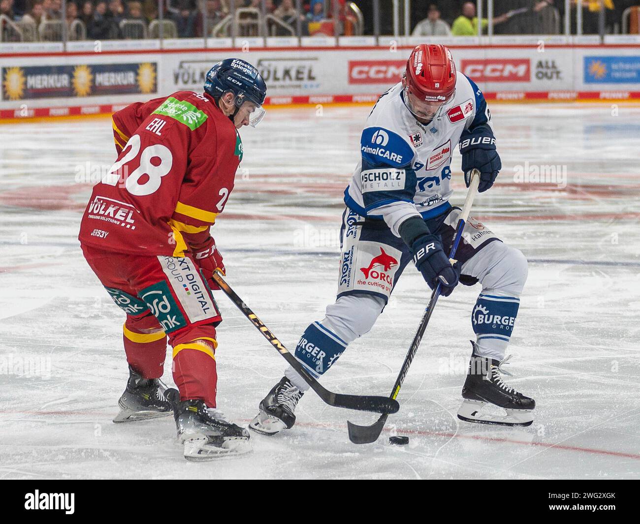 Zweikampf zwischen Alexander Ehl (Duesseldorfer EG, #28) und Daniel ...