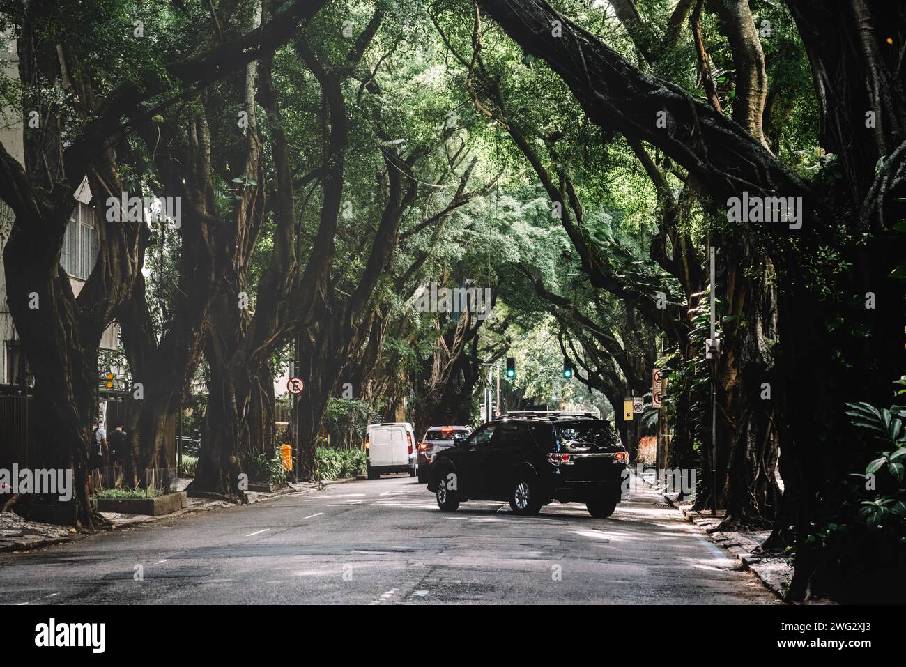 Tree-lined Prudente de Morais street in Ipanema, Rio de Janeiro, Brazil ...