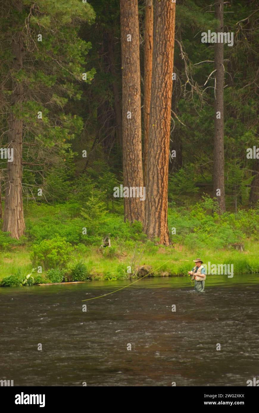 Fly fishing, Metolius Wild and Scenic River, Deschutes National Forest ...