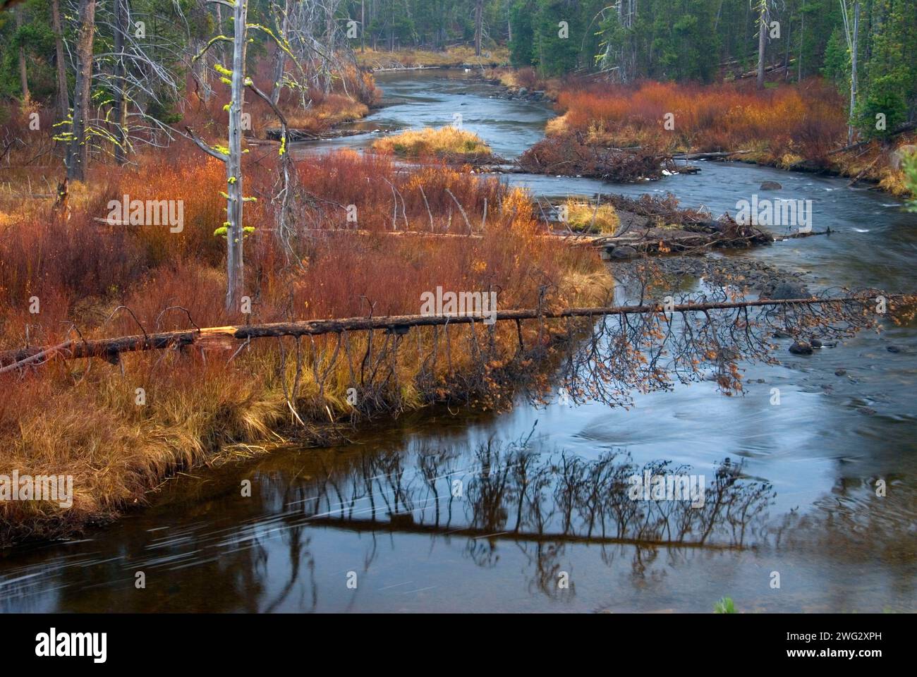 Crescent Creek Wild and Scenic River, Deschutes National Forest, Oregon ...