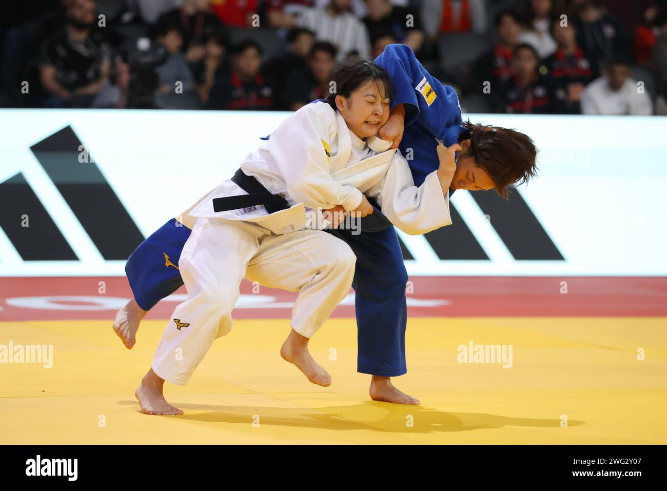 Thierry Larret/Maxppp. Judo International. Paris Grand Slam. Accor ...