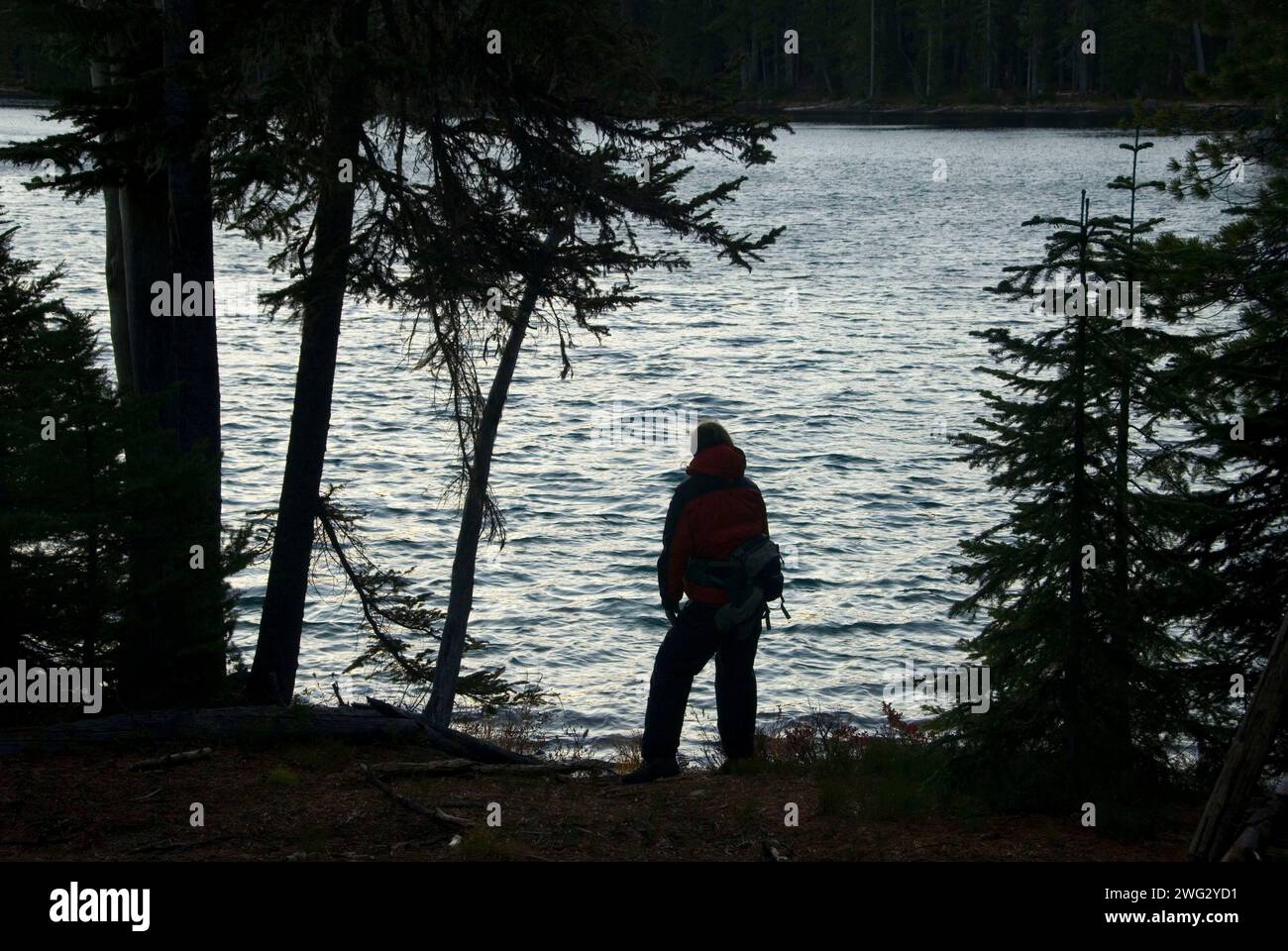 Charlton Lake, Deschutes National Forest, Oregon Stock Photo - Alamy