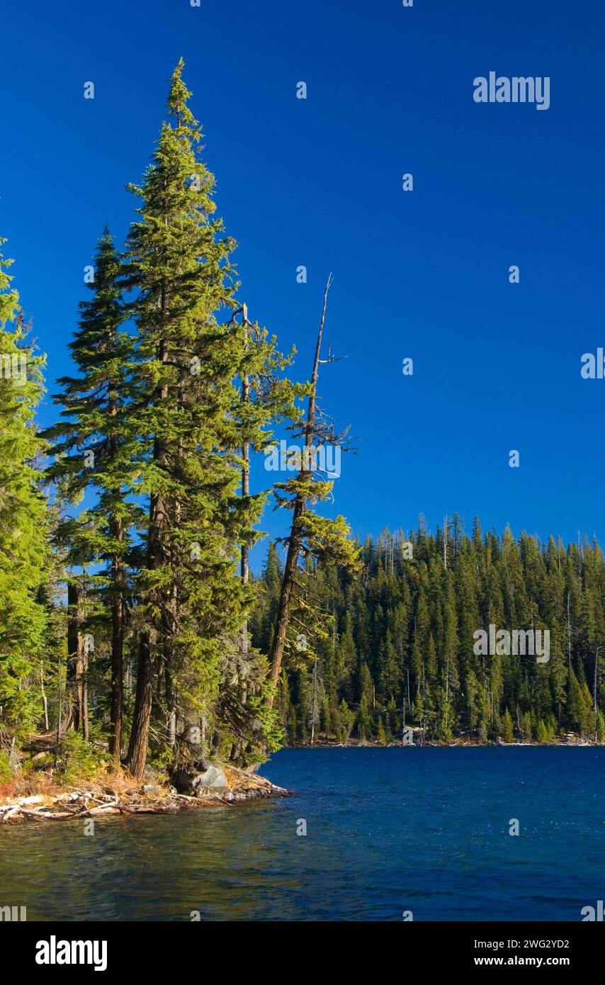 Charlton Lake, Deschutes National Forest, Oregon Stock Photo - Alamy
