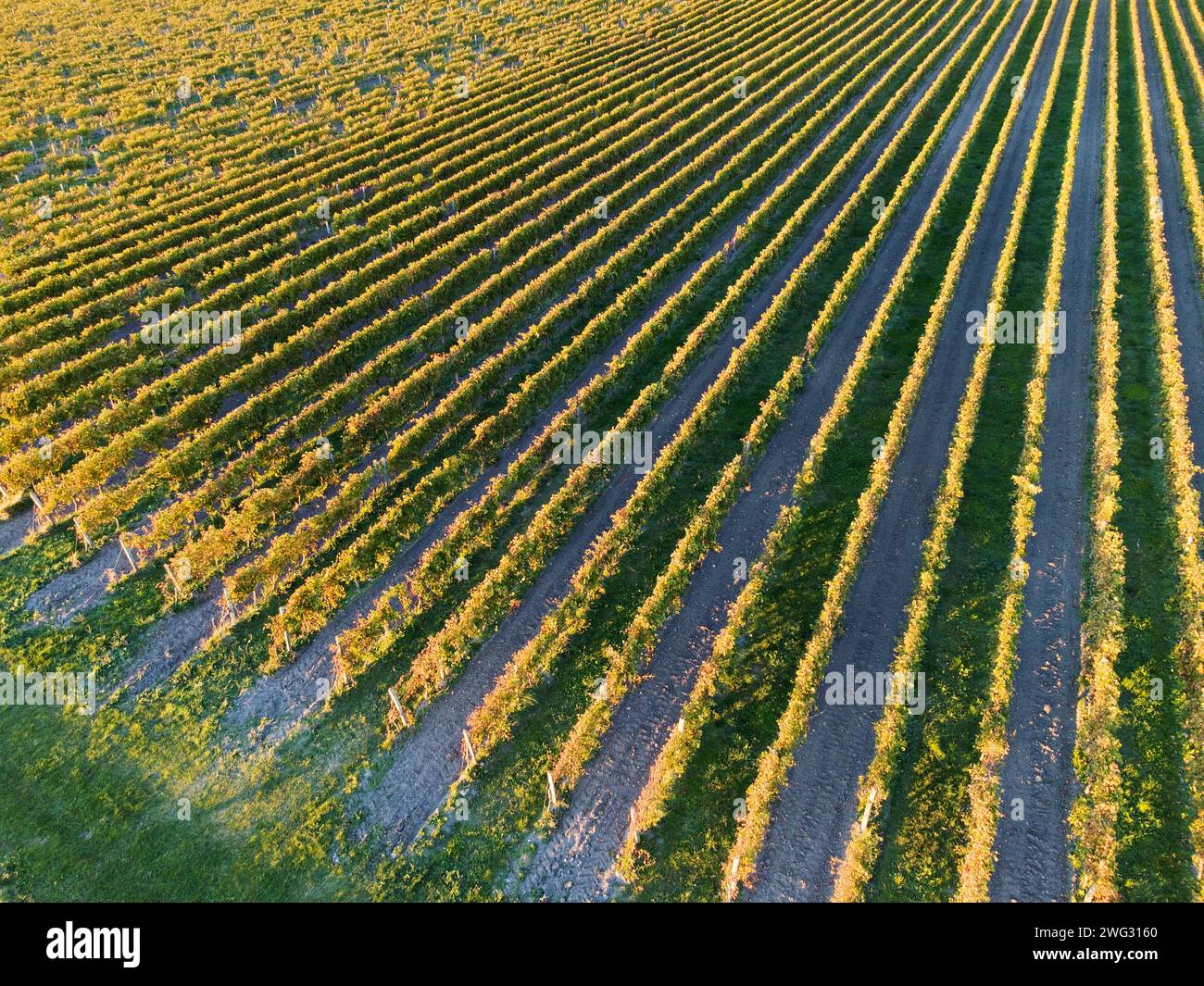drone pictures vue du ciel Stock Photo - Alamy