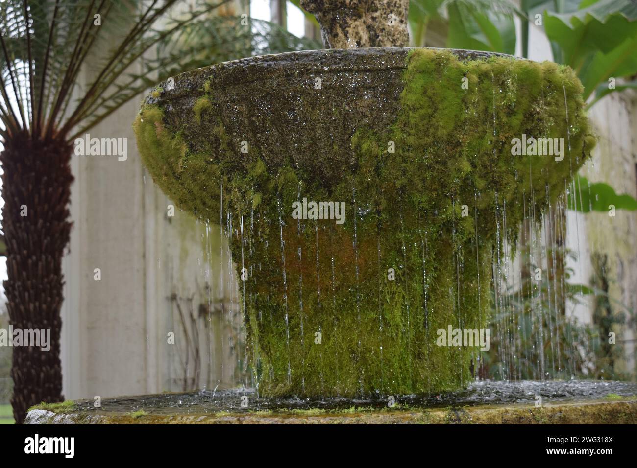 Moss fountain hi-res stock photography and images - Alamy