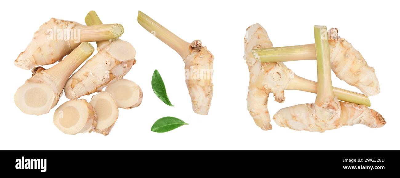Fresh galangal root with slices isolated on white background with full ...